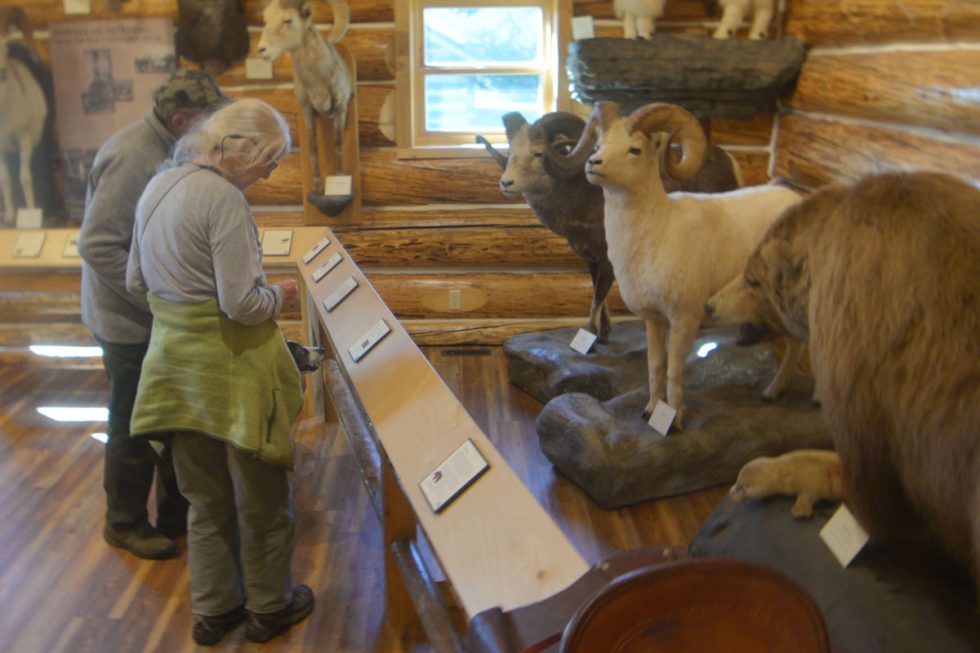 Home - Hudsons Hope Museum